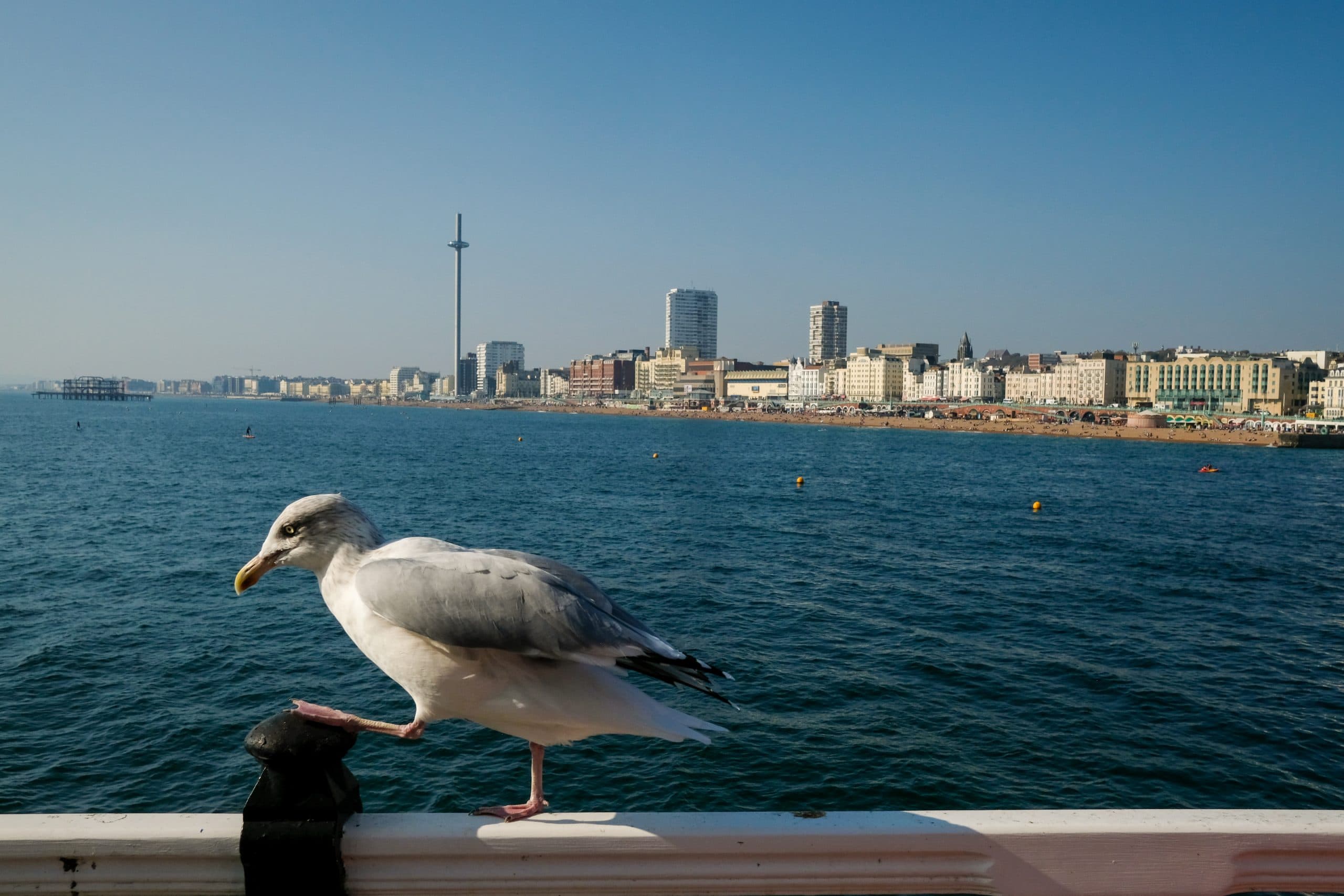 Brighton Street Photography Workshops | Street with Matt